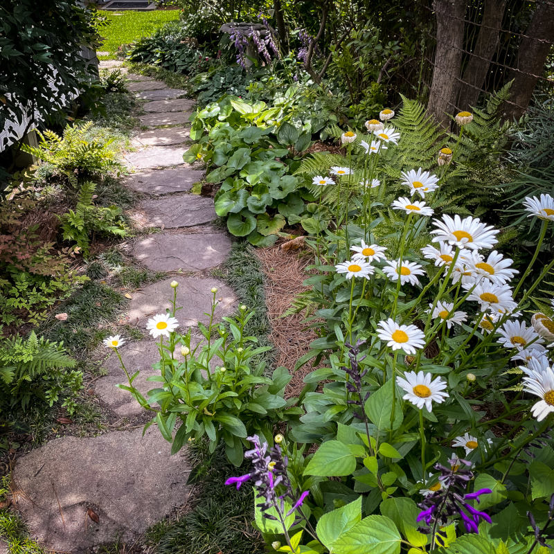 Hardscape Design, Columbia, SC | Bare Roots Gardening