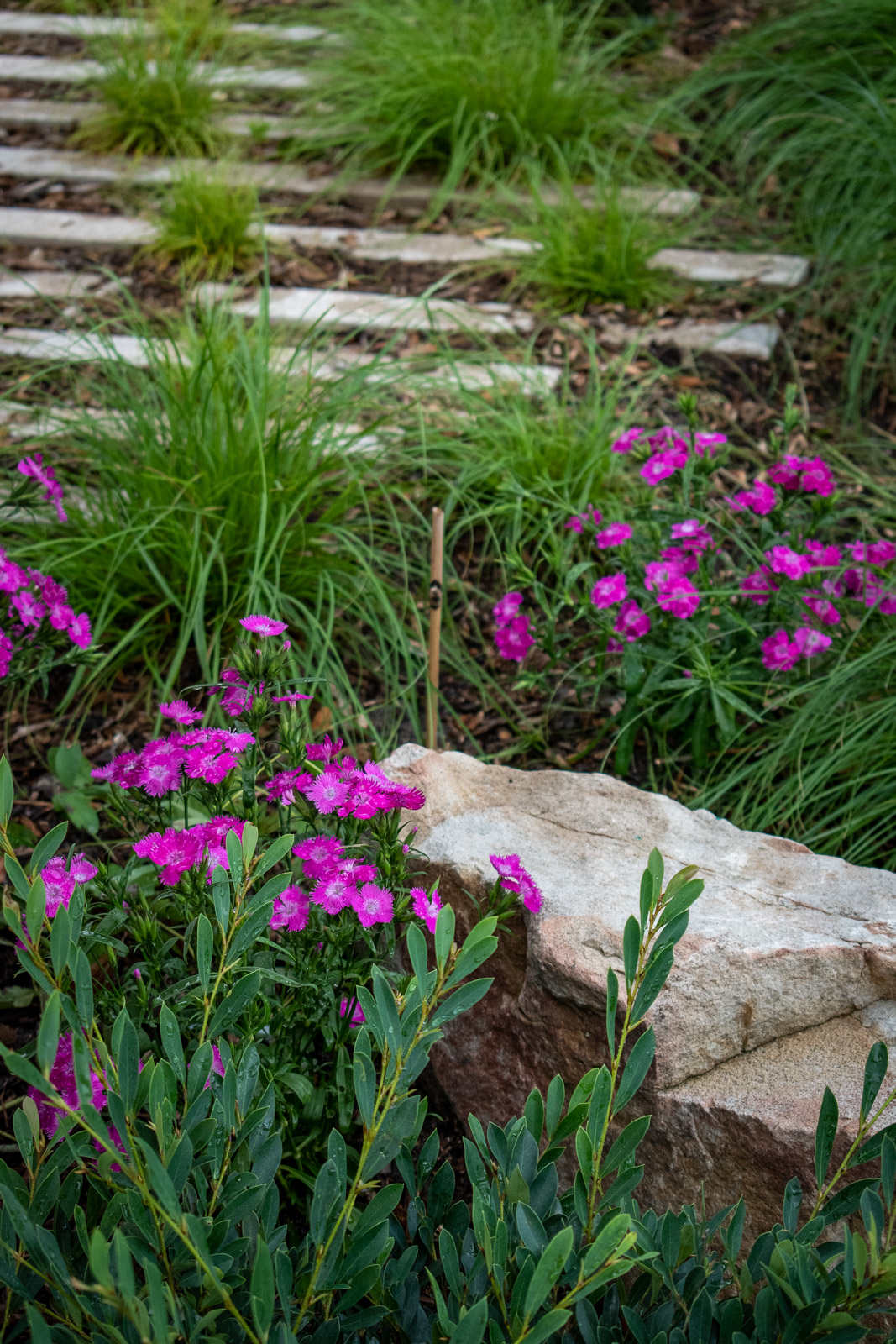 Hardscape Design, Columbia, SC | Bare Roots Gardening